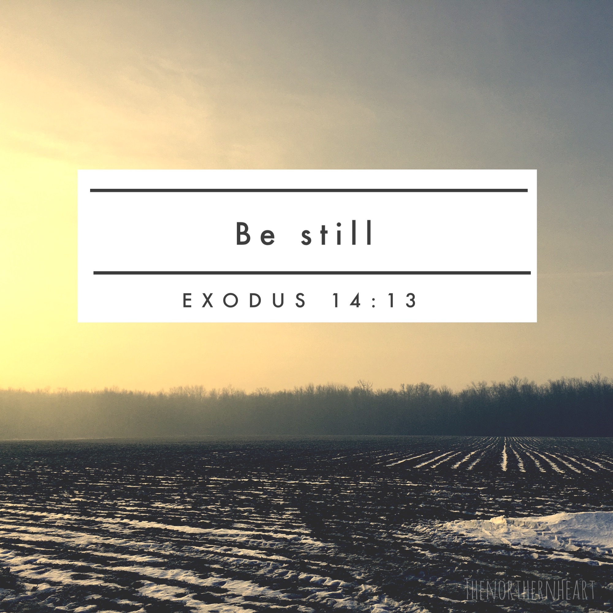 Be Still – The Northern Heart